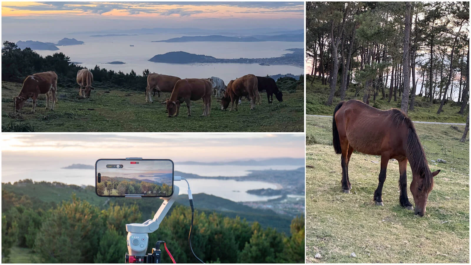 A Groba: Caballos salvajes y atardeceres en Baiona | Eat & Walkabout